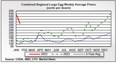 EGG-NEWS.com — Welcome